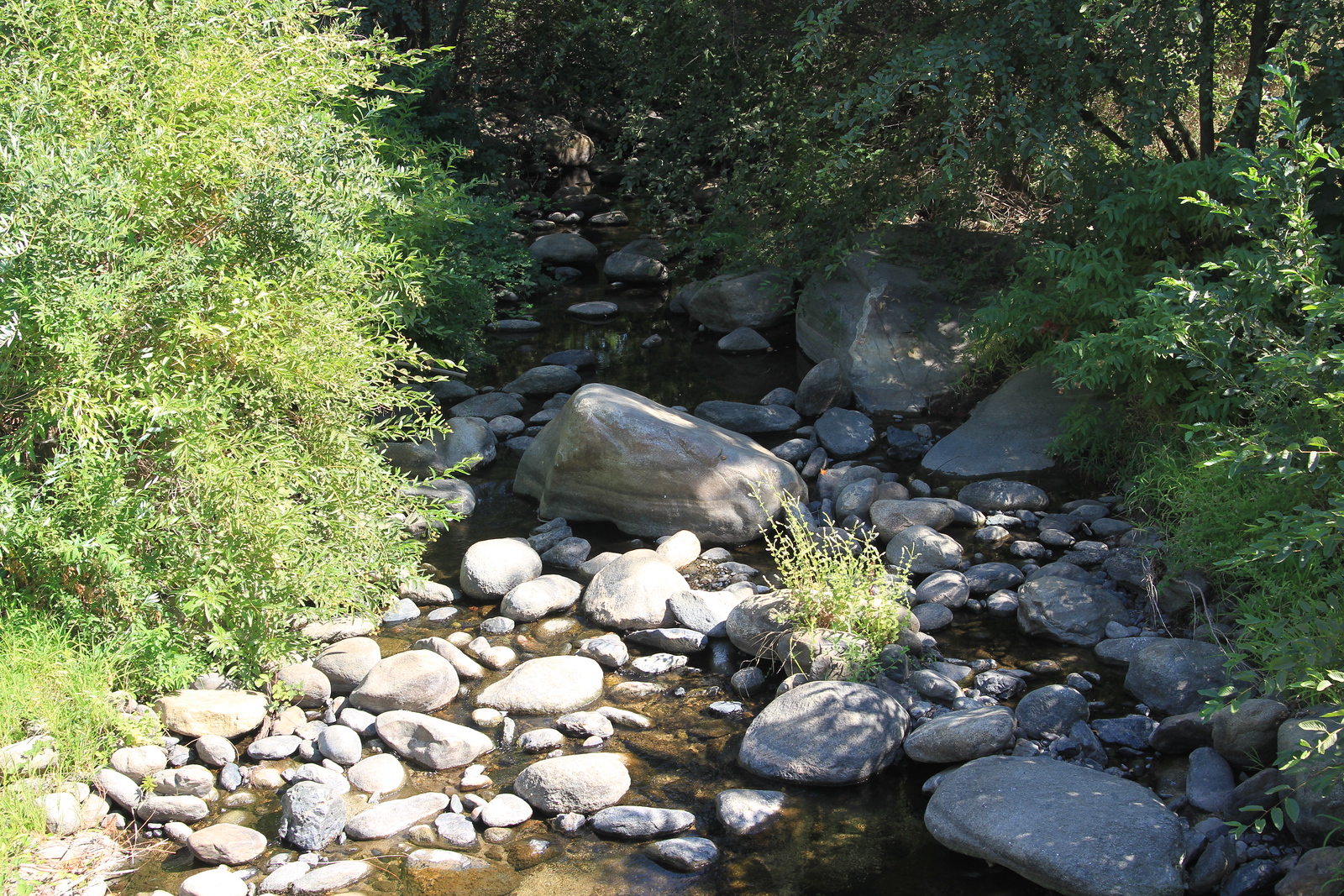Support Water Security for the Tule River Tribe